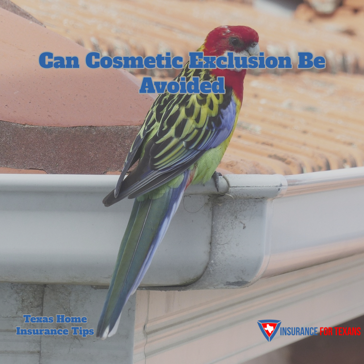 What Is A Cosmetic Exclusion On A Home Insurance Policy